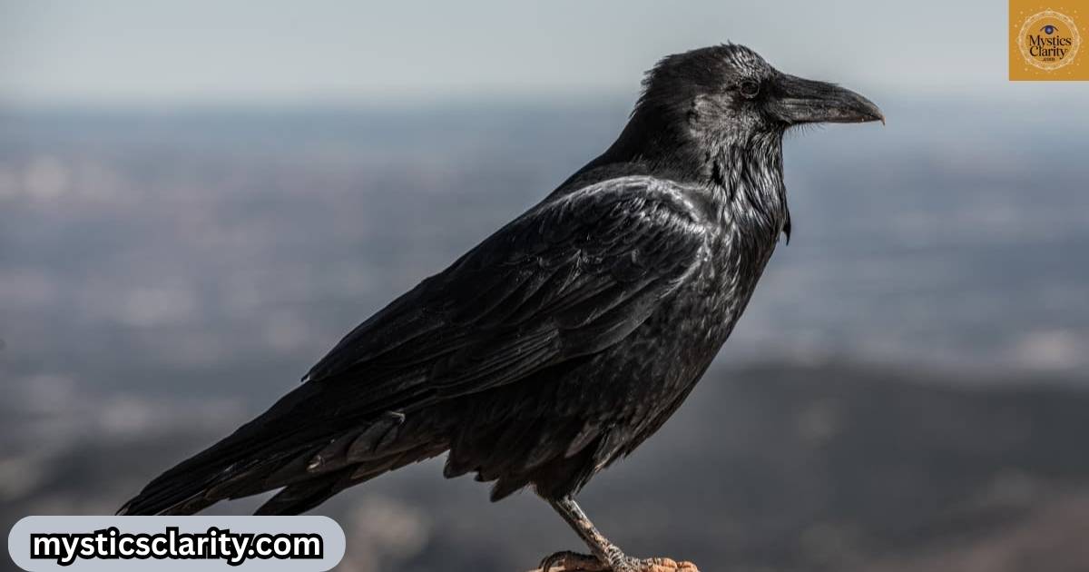 Spiritual Meaning of Crows: Symbols, Messages, and Omens